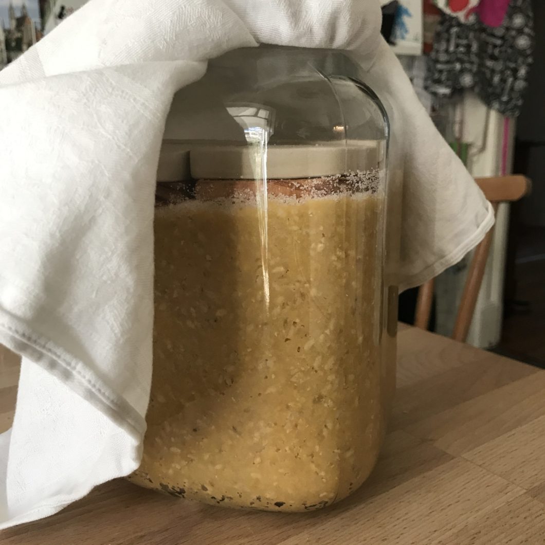 Miso selber machen in einfachen Schritten → Fermentation Love